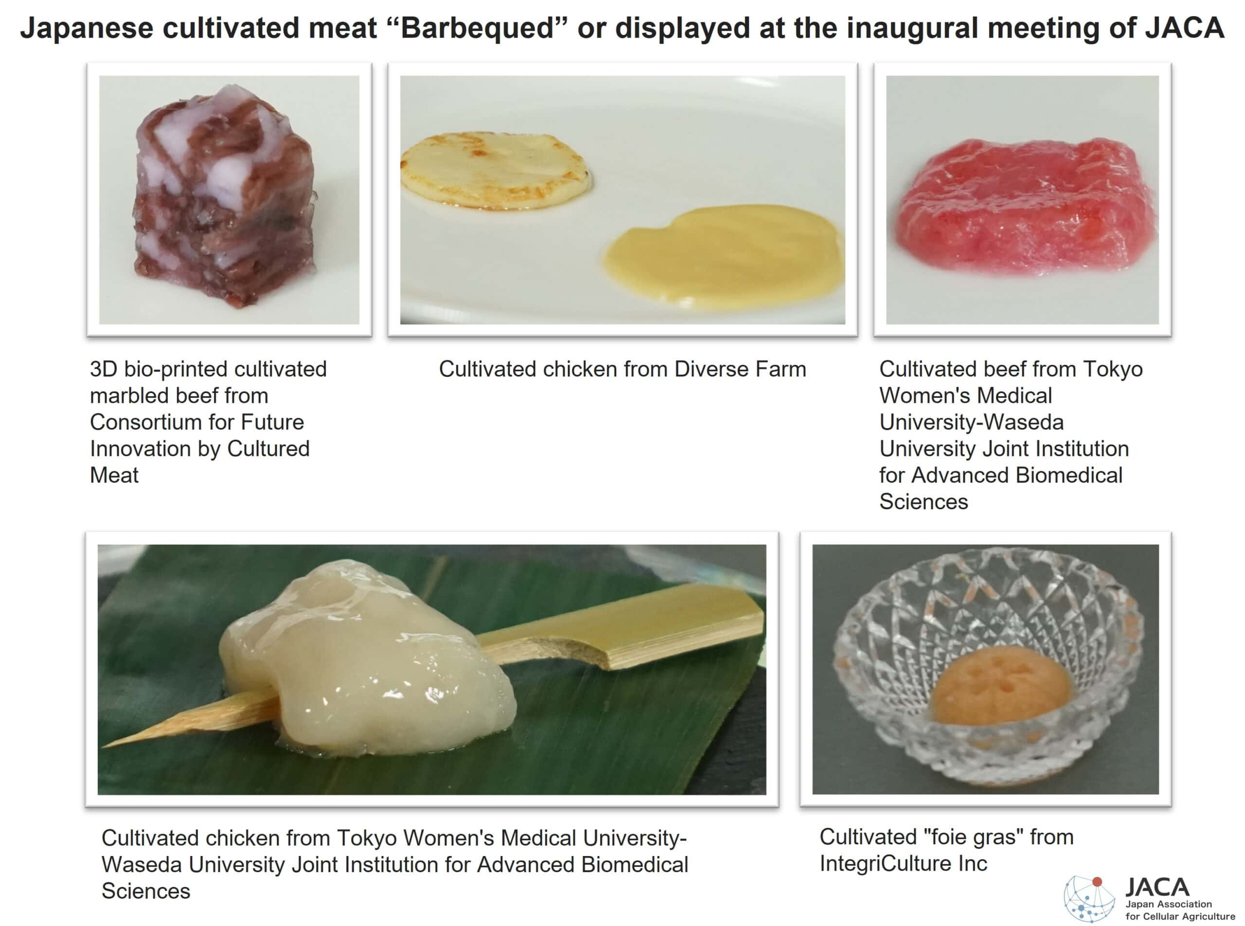 Japan Association for Cellular Agriculture: "Working to Achieve the ...