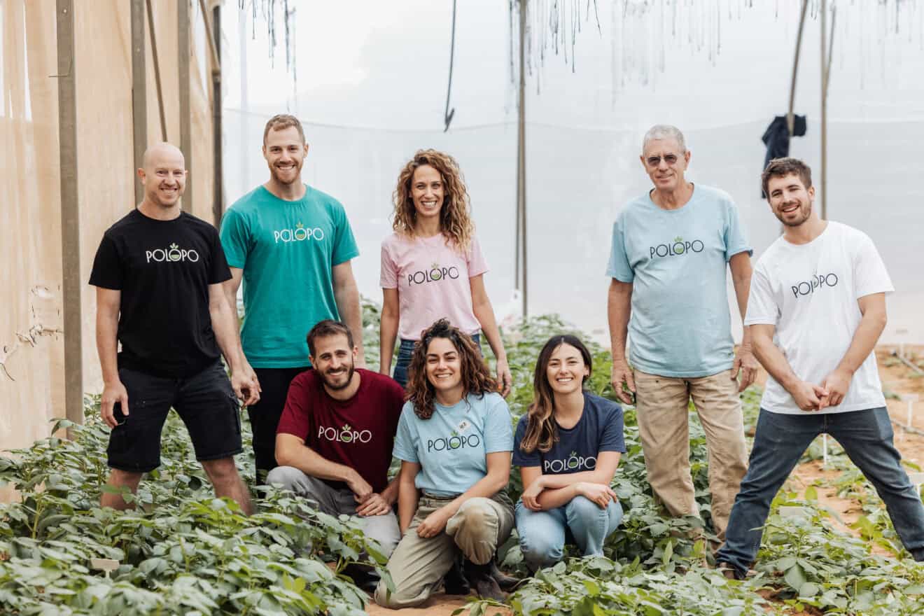 PoLoPo Announces Strategic Shift to Focus on High-Protein Potatoes for ...