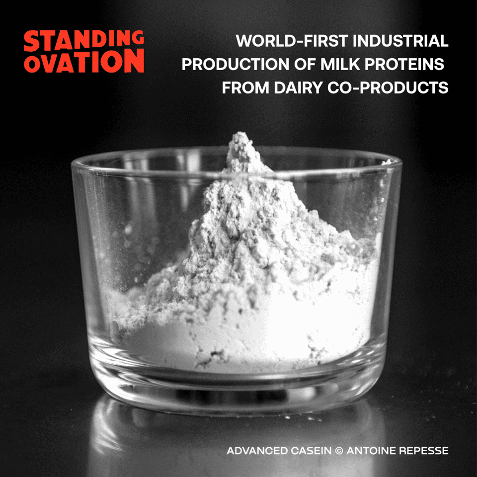 Standing Ovation and Bel Group Achieve Milestone with Industrial-Scale ...